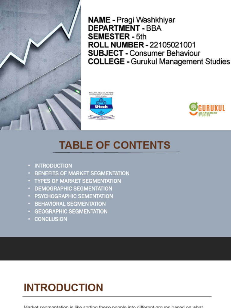 Consumer Behavior Pdf Market Segmentation Mass Media