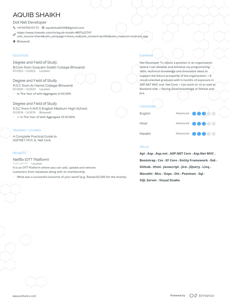 Aquib Shaikh Resume | Download Free PDF | Entity Framework | Software Engineering