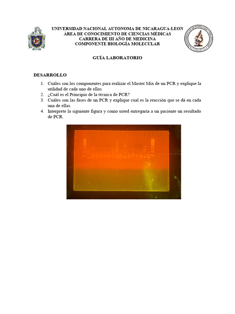 Guía de Laboratorio: Técnica de PCR en Medicina | PDF