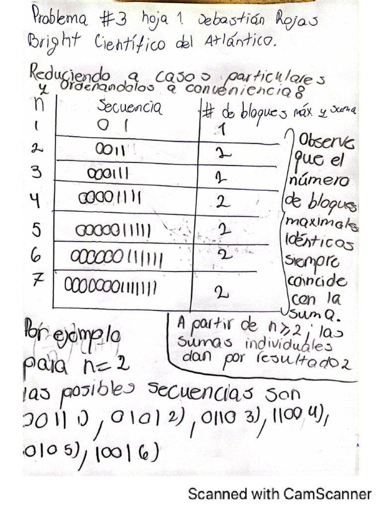 problema 3 Sebastián Rojas Bright | PDF
