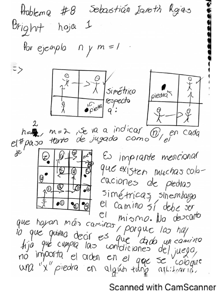 problema 8 Seb | PDF