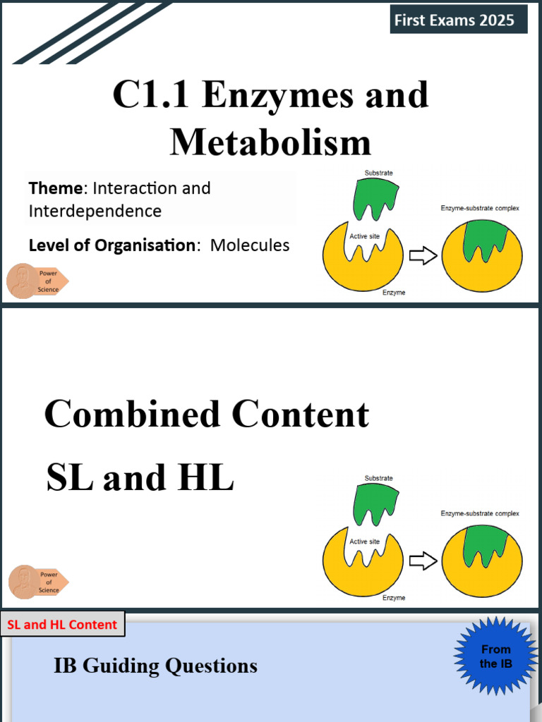 Enzymes and Metabolism Overview | PDF | Enzyme Inhibitor | Enzyme