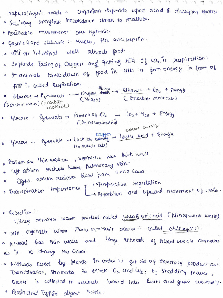 Life Processes Important Points | PDF