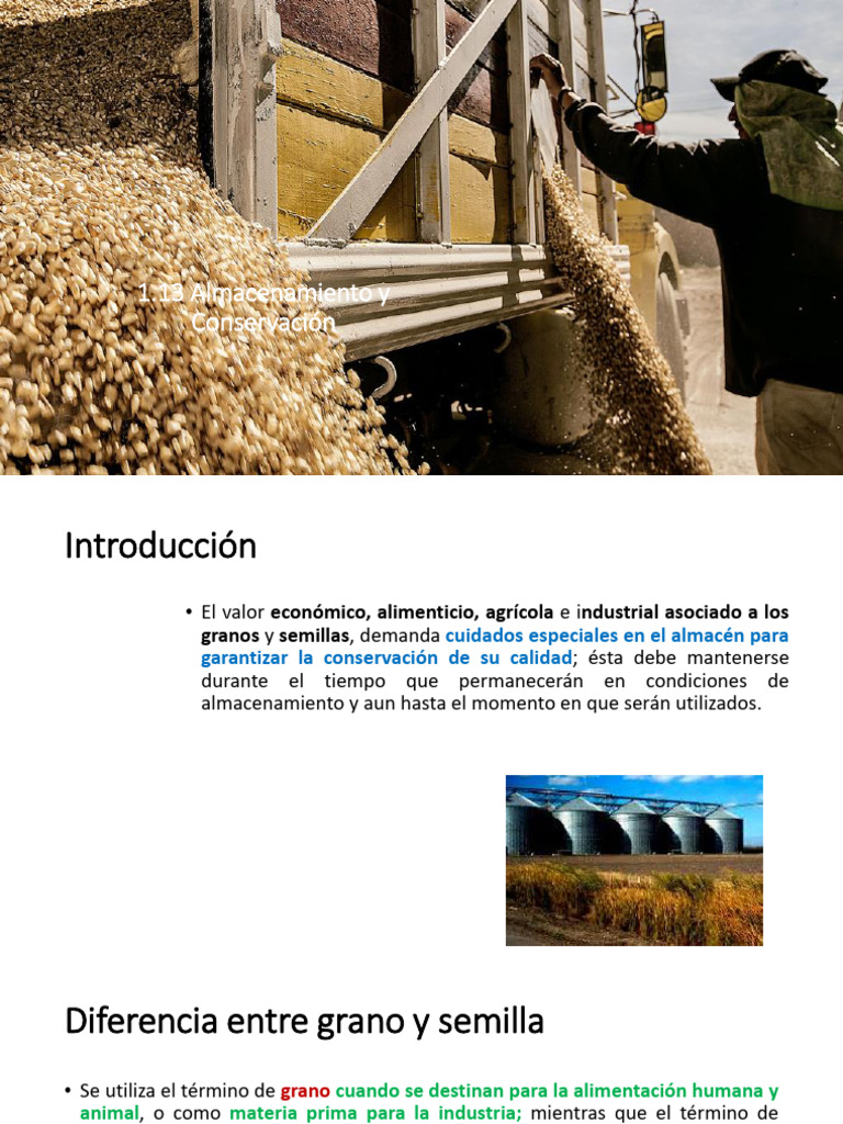 Métodos Efectivos De Almacenamiento De Granos Pdf Cosecha Insectos