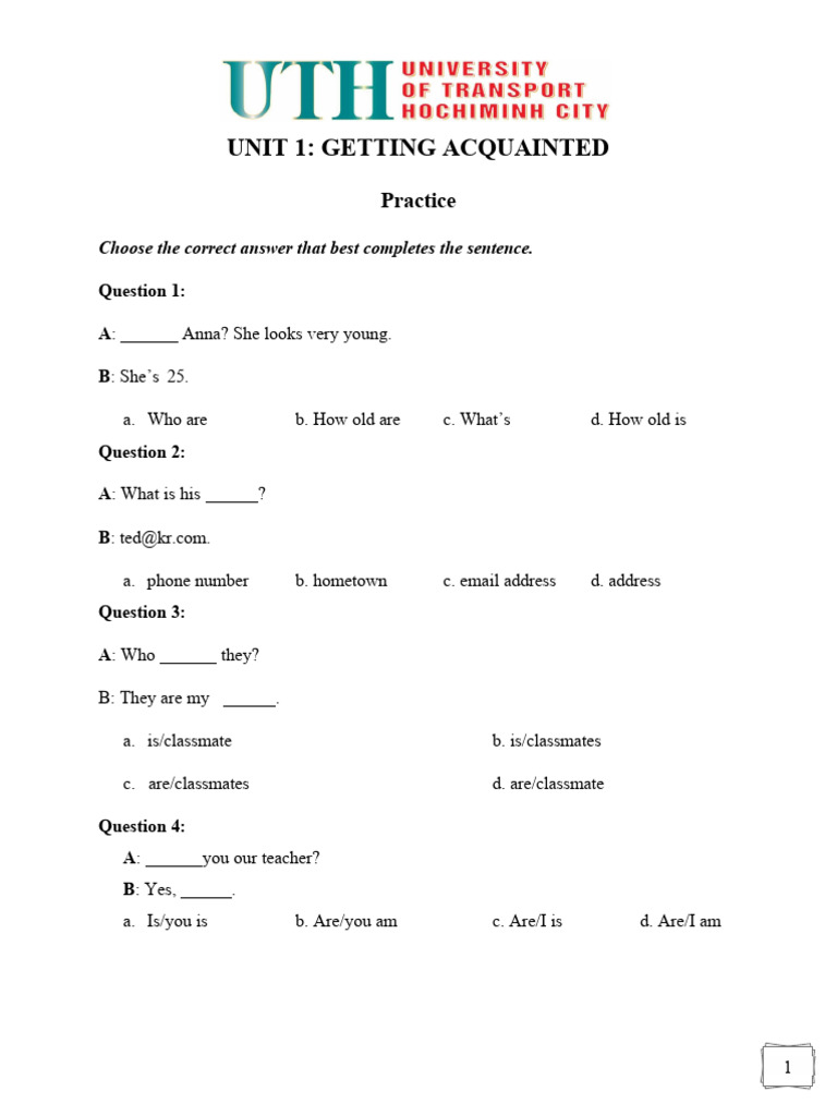 English Grammar Practice Quiz | PDF