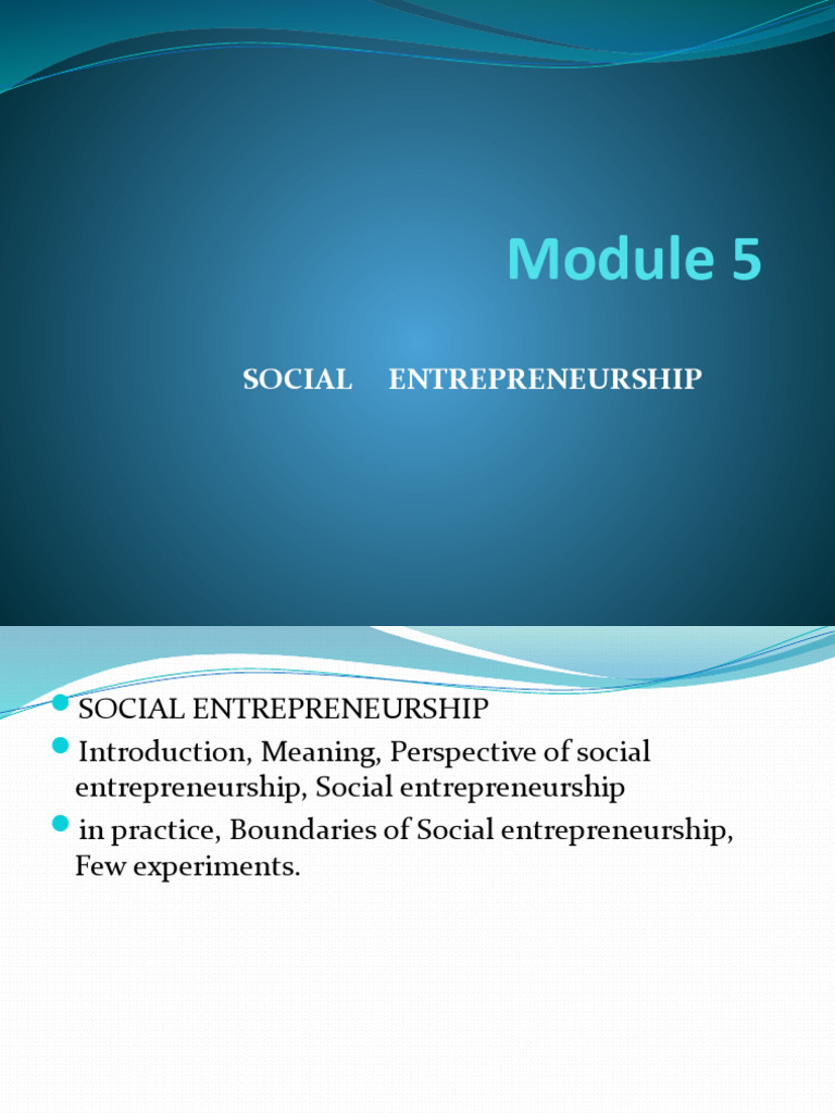 Understanding Social Entrepreneurship | PDF | Entrepreneurship | Social ...