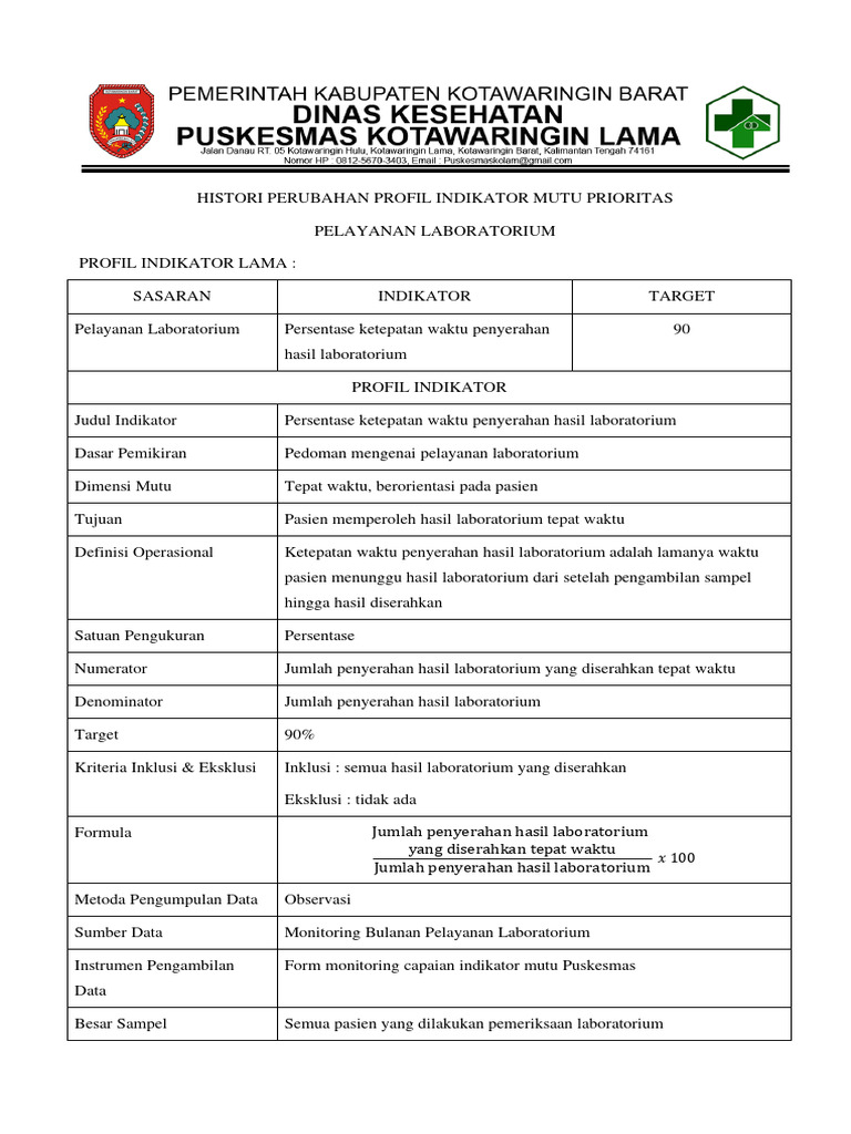 Histori Perubahan Profil Indikator Mutu Prioritas Pelayanan Puskesmas | PDF | Teknologi & Rekayasa