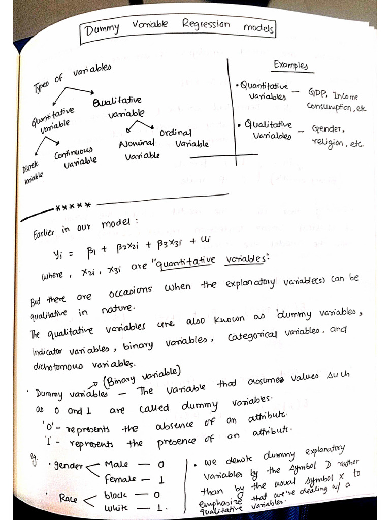 Dummy Variable | PDF