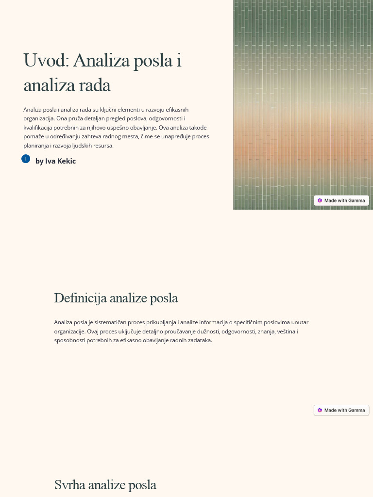 Uvod Analiza Posla I Analiza Rada | PDF