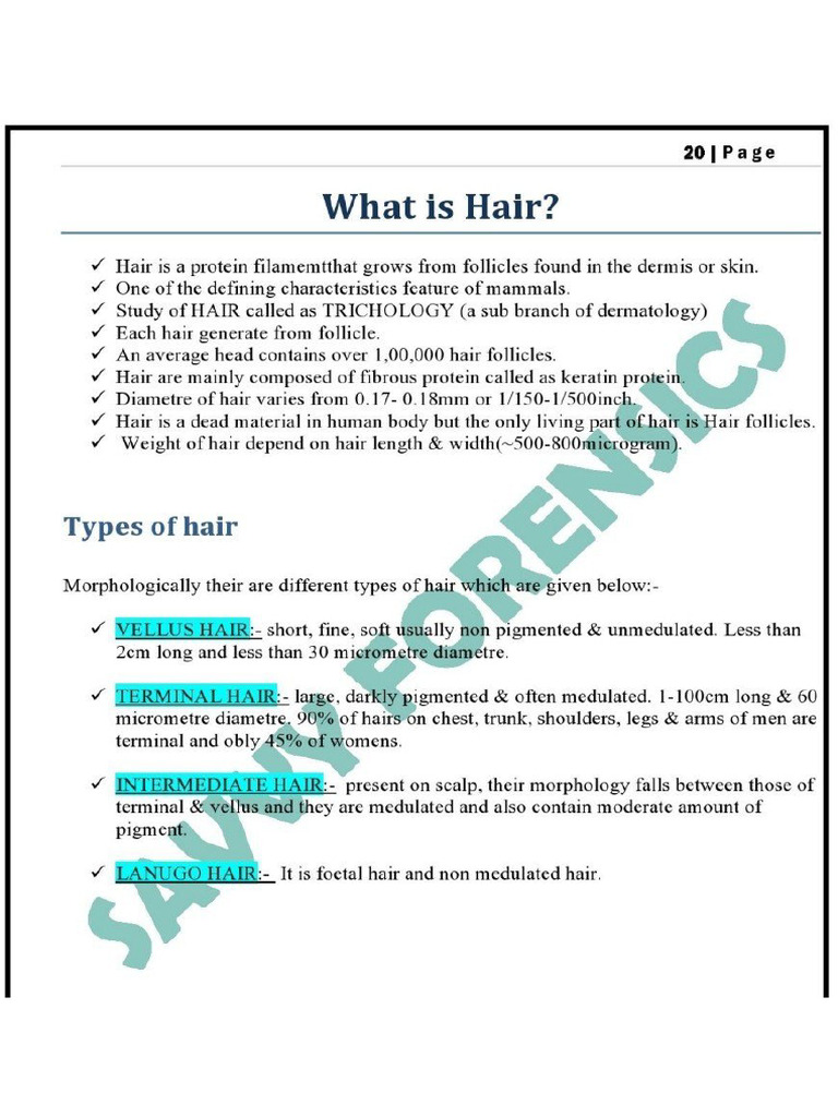 Hair - Biological Evidence | PDF