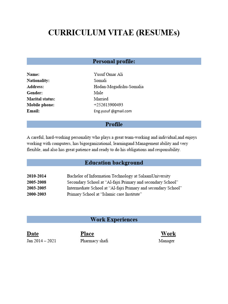 Curriculum Vitae | PDF | Computing