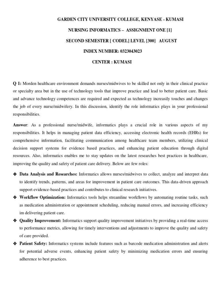 Nursing Informatics Assignment | PDF | Health Informatics | Health Care