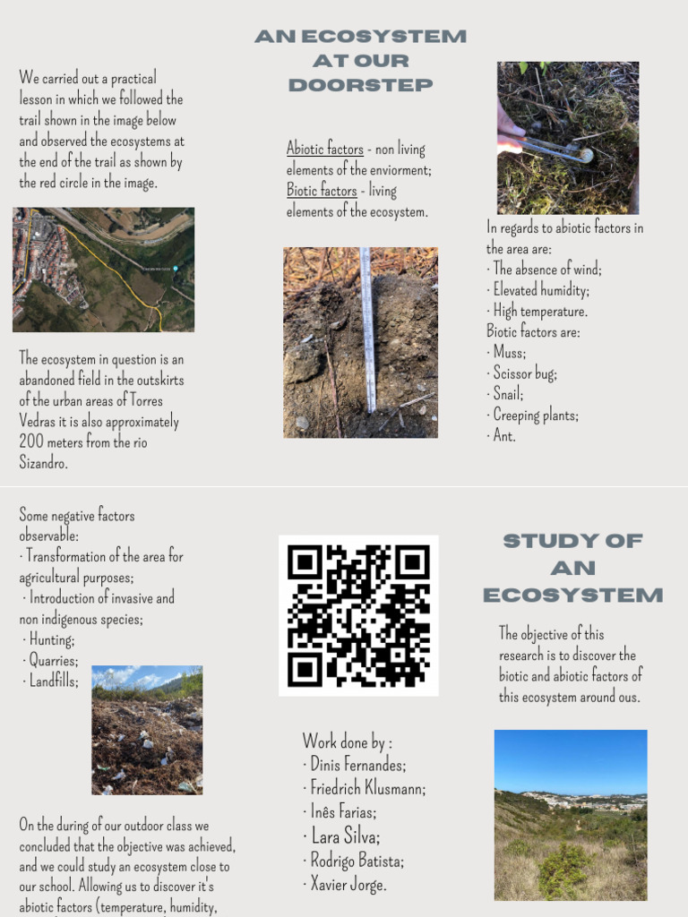 STUDY OF AN ECOSYSTEM | PDF | Ecosystem | Ecology