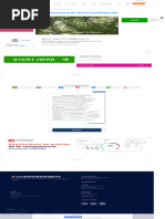 The Second Conditional - Ficha Interactiva | PDF