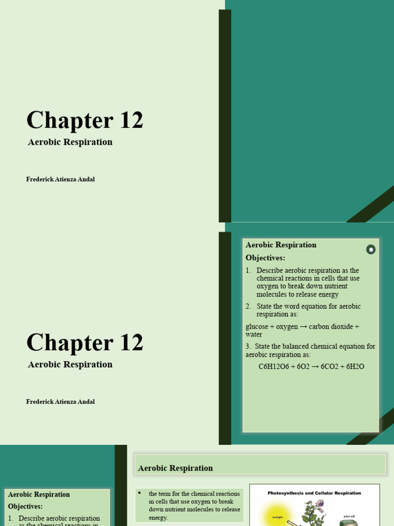 Chapter 12 Lesson 2 Aerobic | Download Free PDF | Cellular Respiration | Oxygen