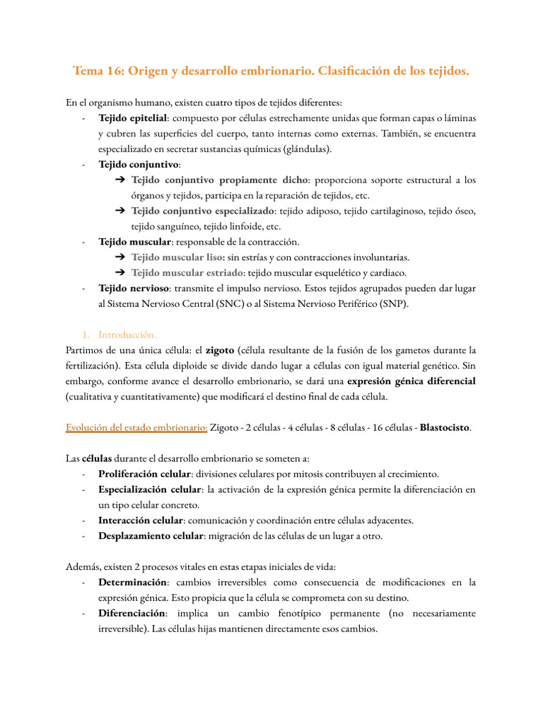 Tema 16_ Origen y desarrollo embrionario COMPLETO | PDF | Embrión ...