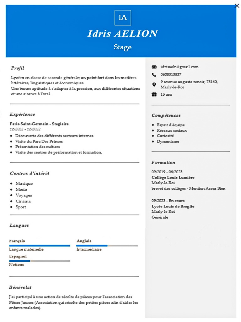 CV Idris Aelion | PDF