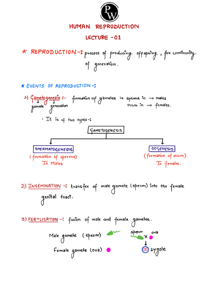 Human Reproduction - Handwritten Notes Lakshya Neet 2024 | PDF ...