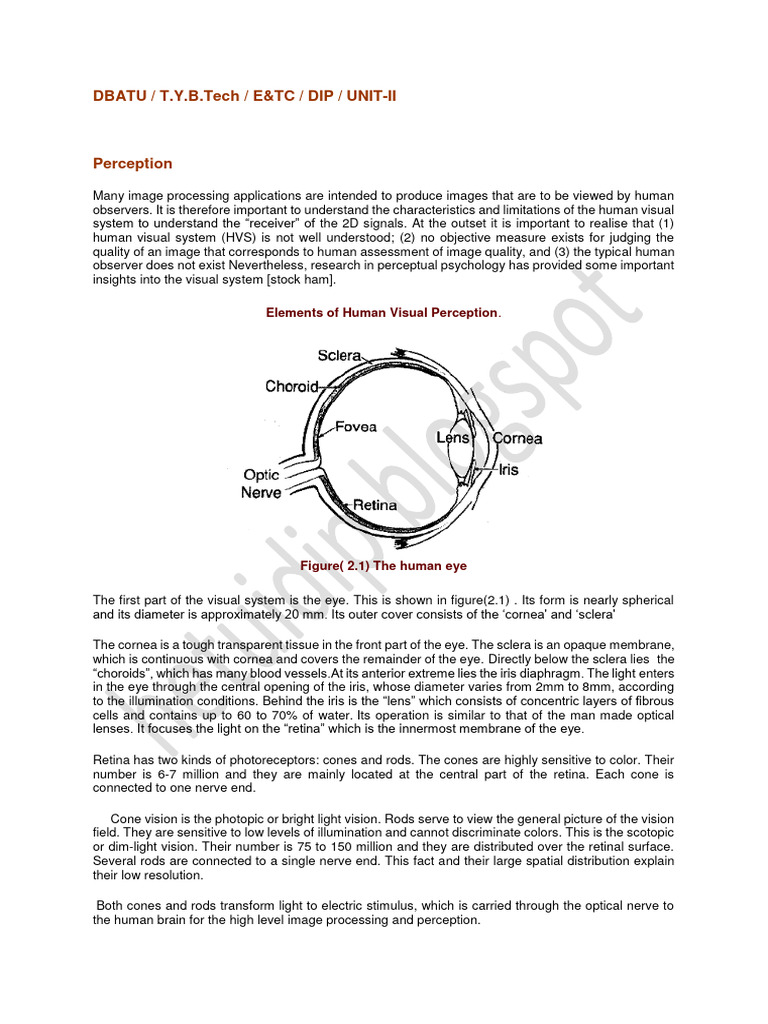 Dip Unit-Ii | PDF | Color | Eye