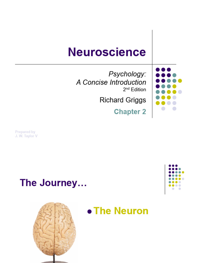 Understanding Neurons and Neurotransmitters | PDF | Neurotransmitter ...