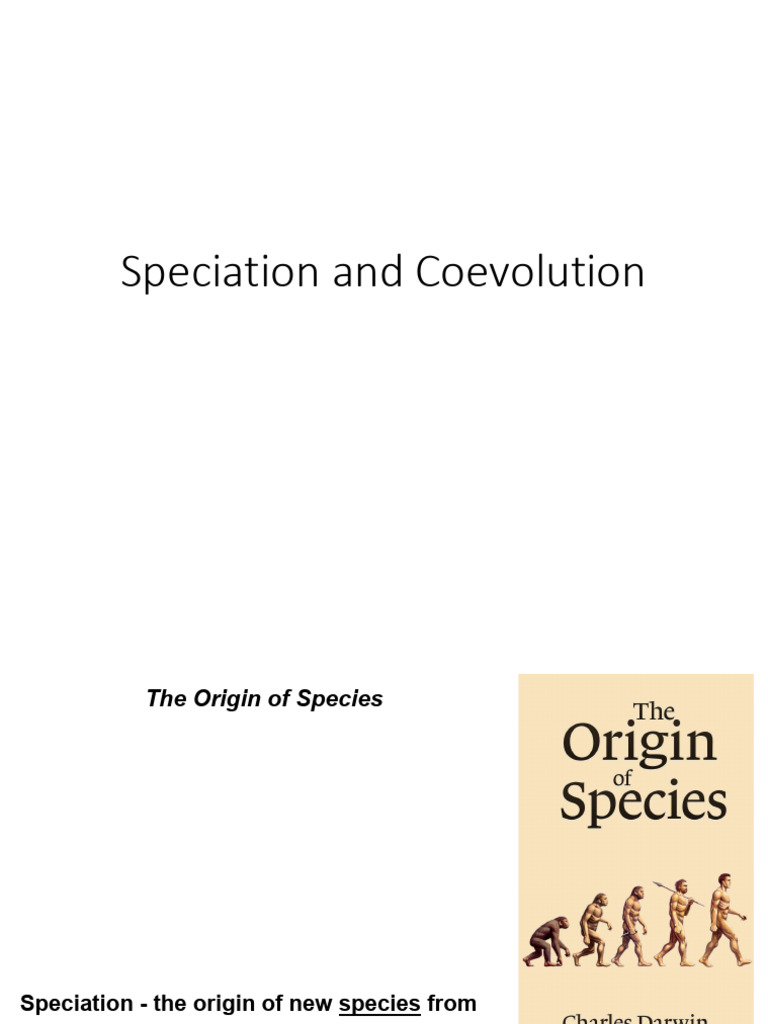 Class 5 | PDF | Species | Evolution