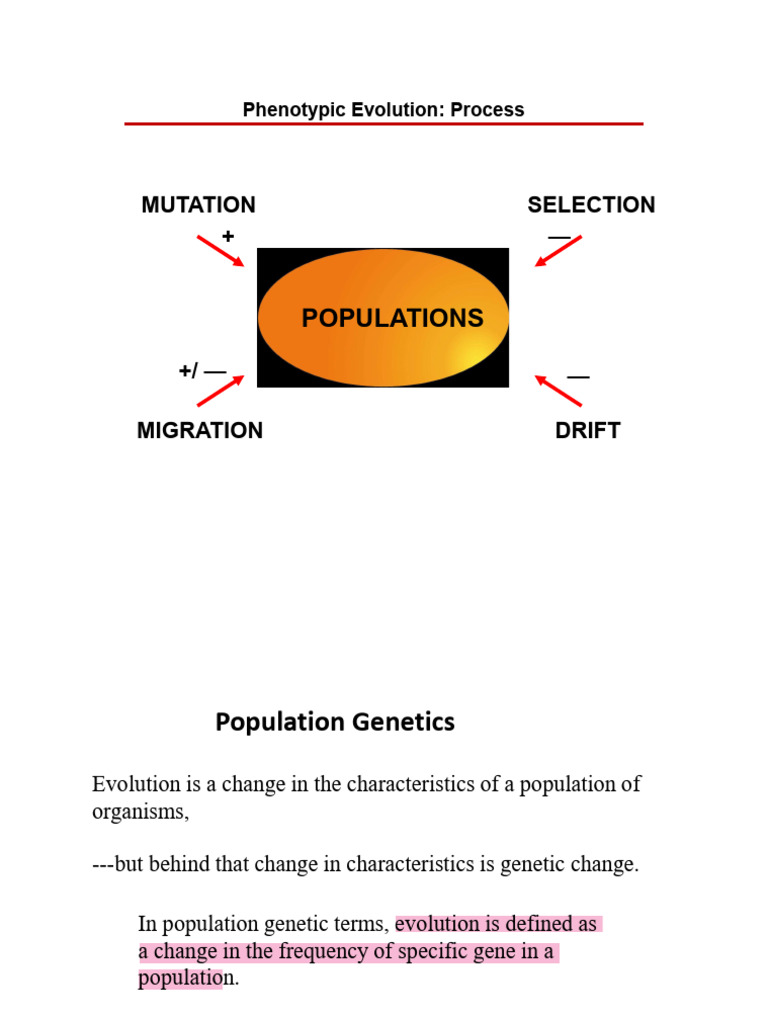 Mechanisms of Genetic Diversity in Populations | PDF | Genetic ...