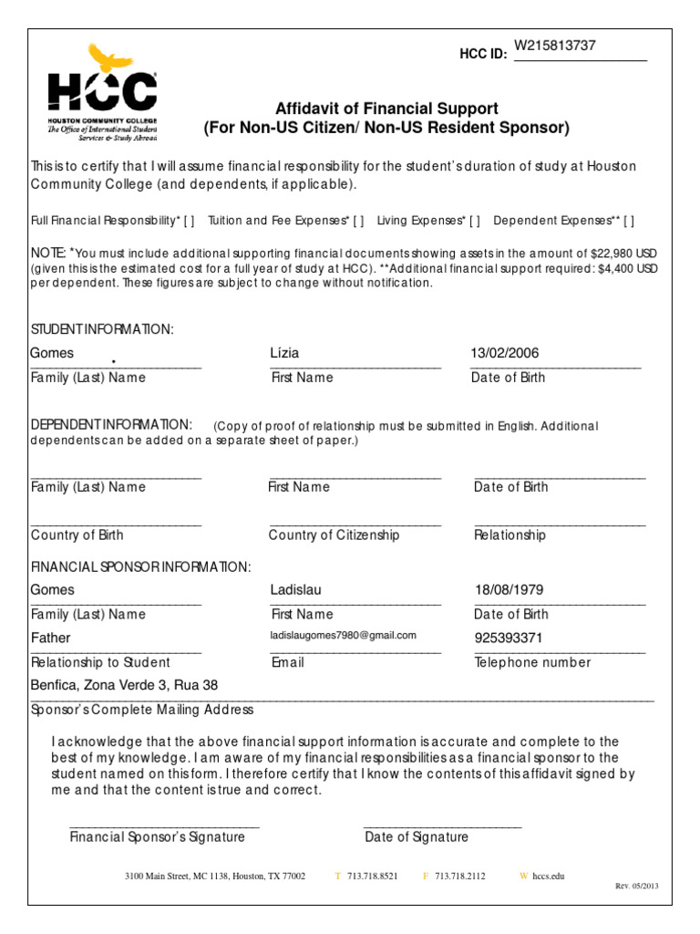 Affidavit of Financial Support | PDF