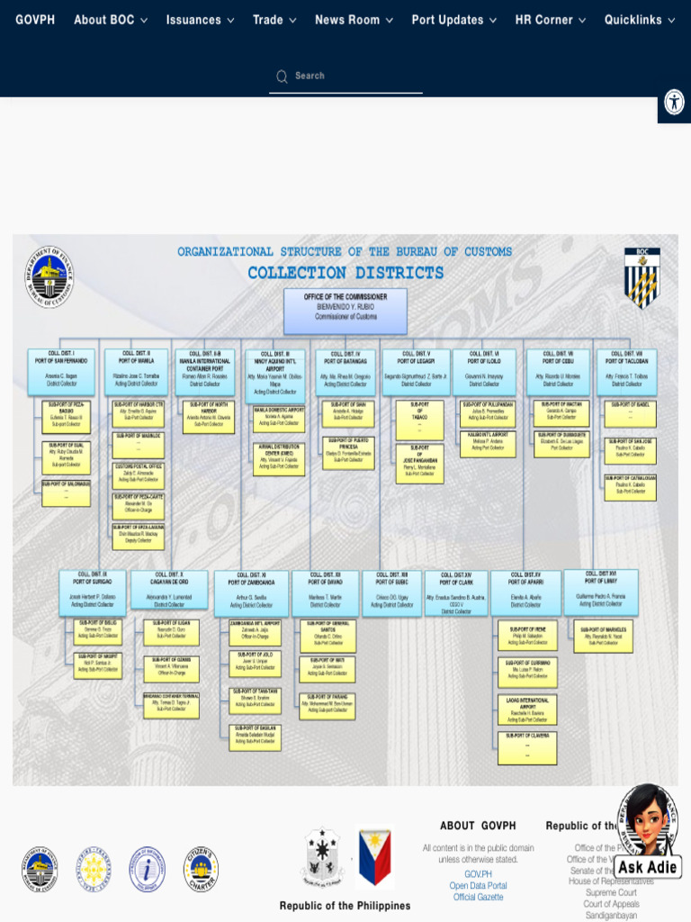 Bureau of Customs Org Chart 2023 | PDF | Legal Organizations ...