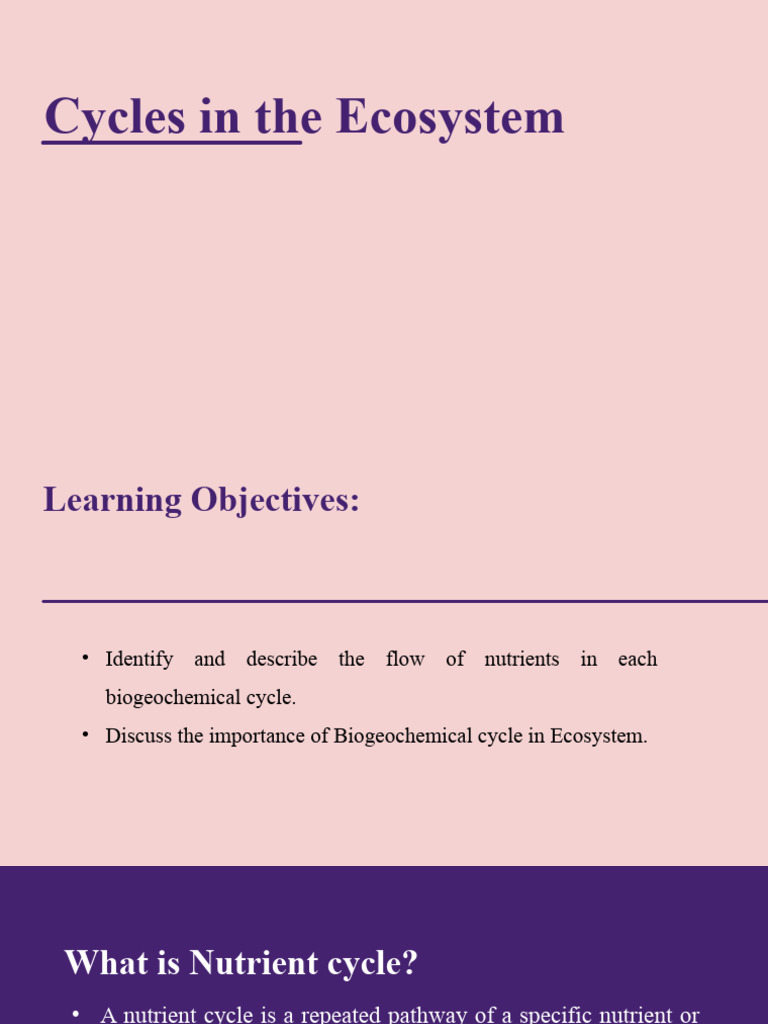 Lesson 3 | PDF | Water Cycle | Ecosystem