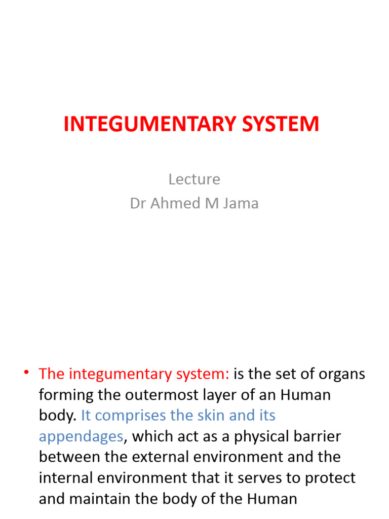 INTEGUMENTARY SYSTEM | PDF | Skin | Integumentary System