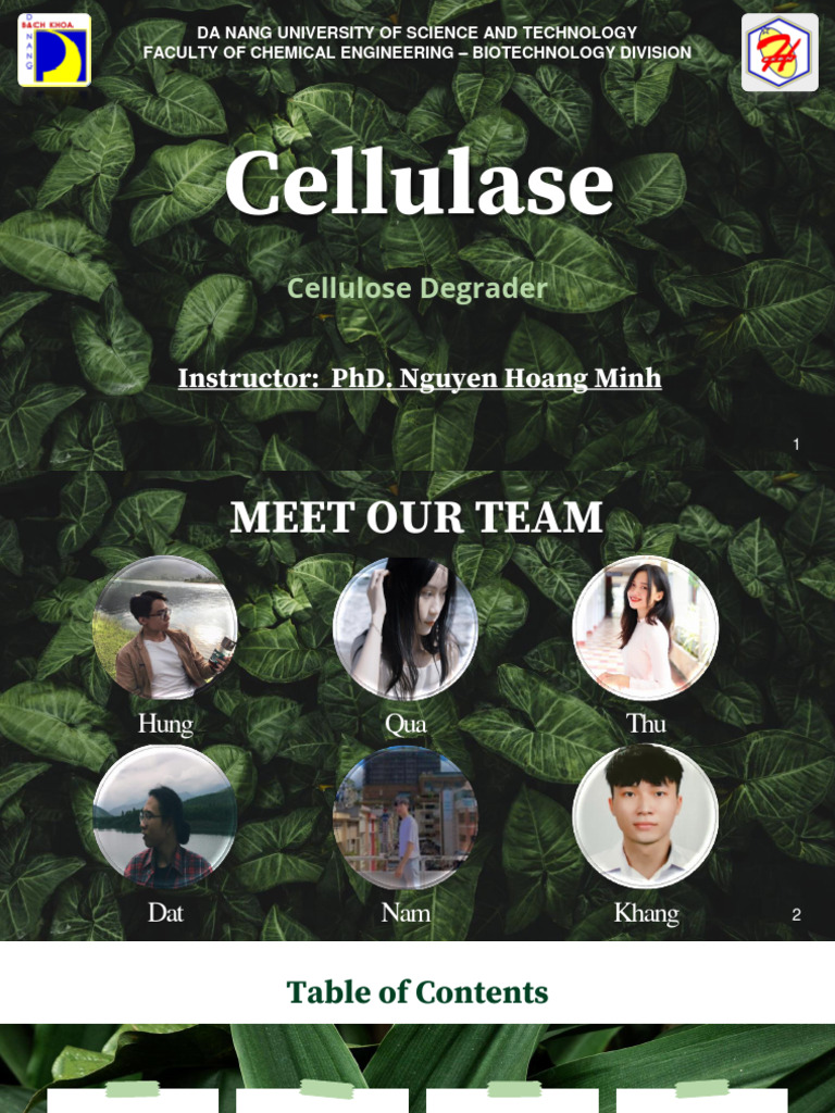 Industrial Applications of Cellulase Enzymes | PDF | Cellulose | Biology