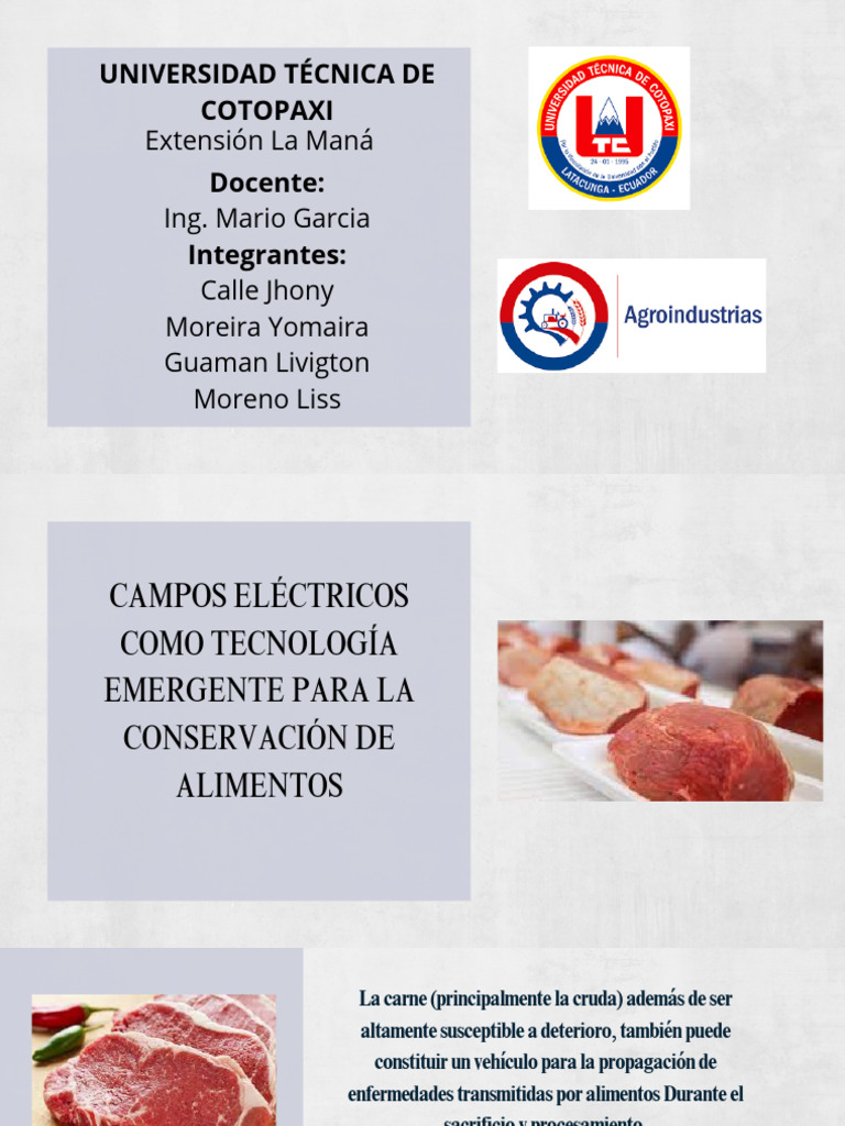 Campos Electricos Fisica | PDF | Carne | Electricidad