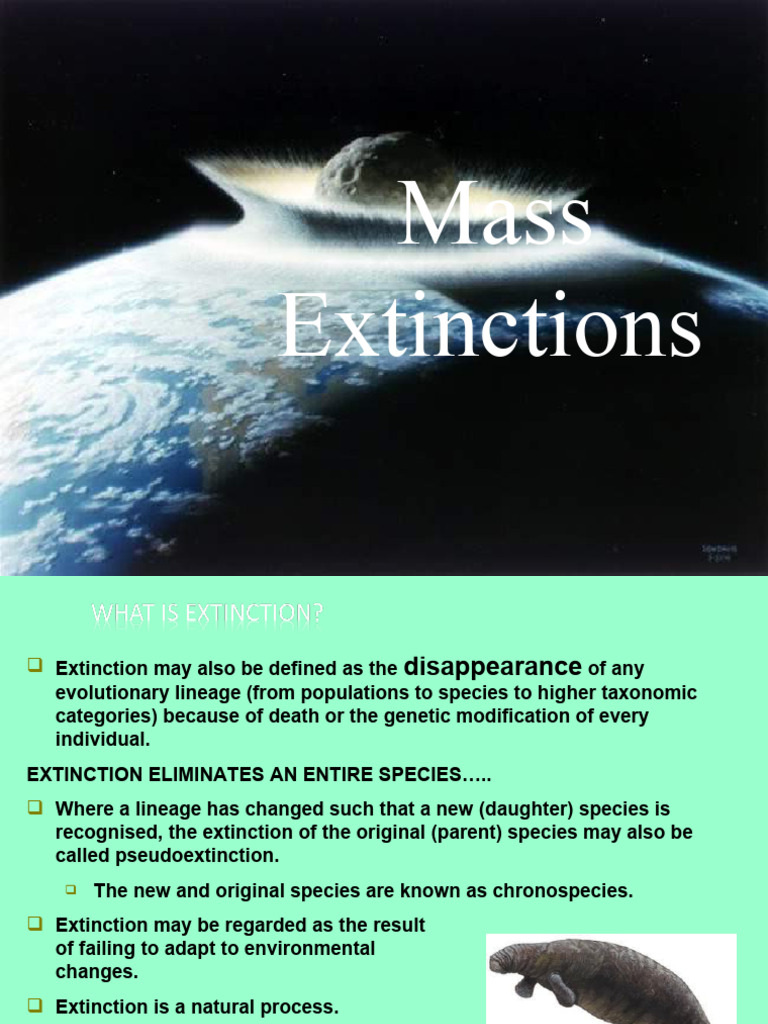 Mass Extinction | PDF | Extinction | Nature