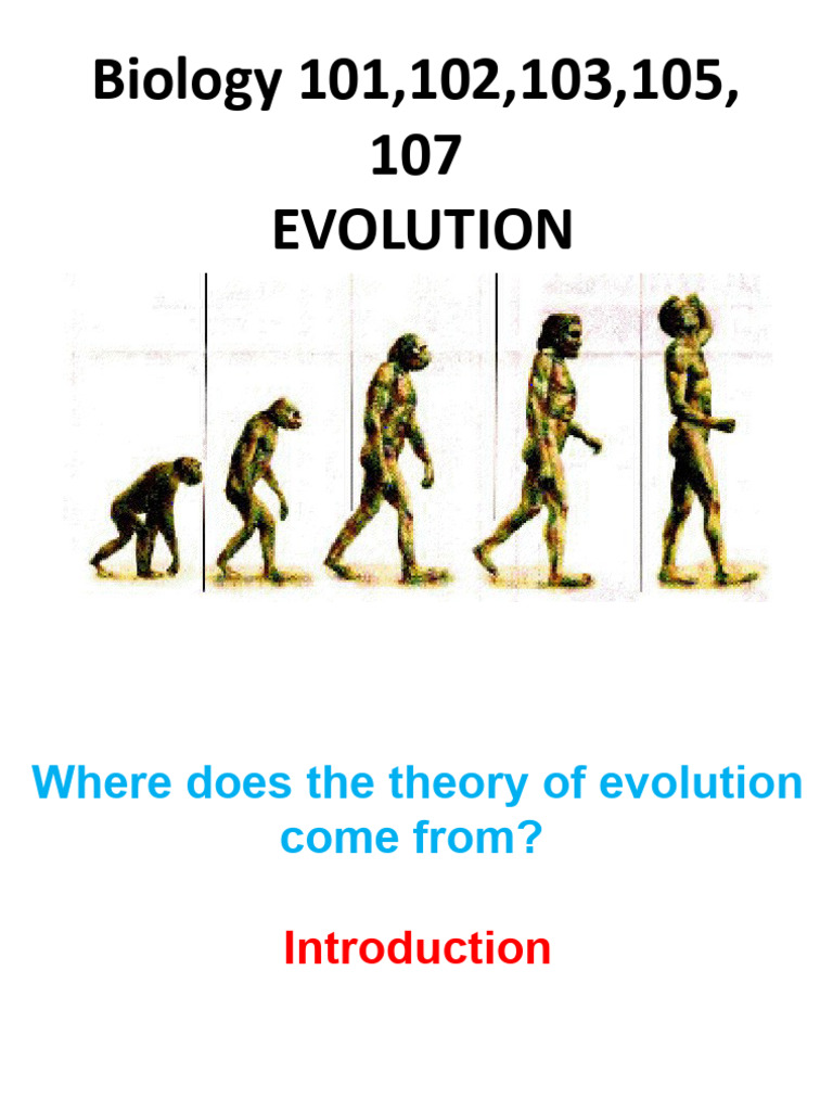 Evolution and Origin of Life Overview | PDF | Plate Tectonics | Earth