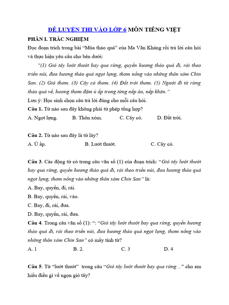 De Luyen Thi Vao Lop 6 Mon Tieng Viet de 2 | PDF