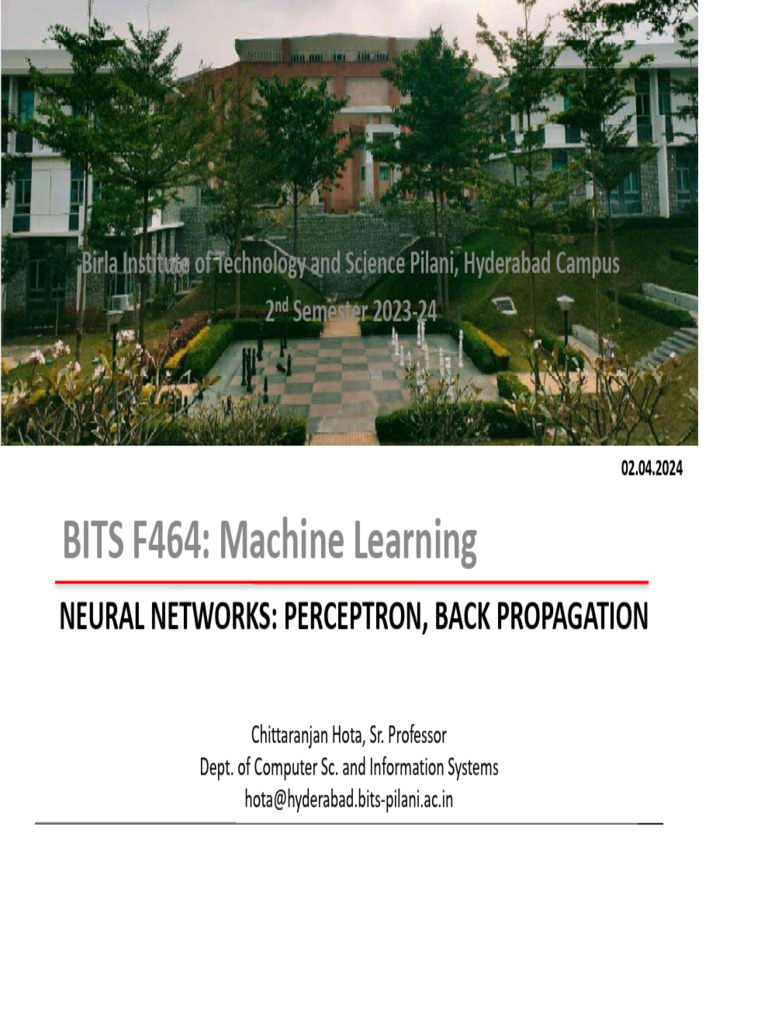 Slide 2 | PDF | Neuron | Dendrite