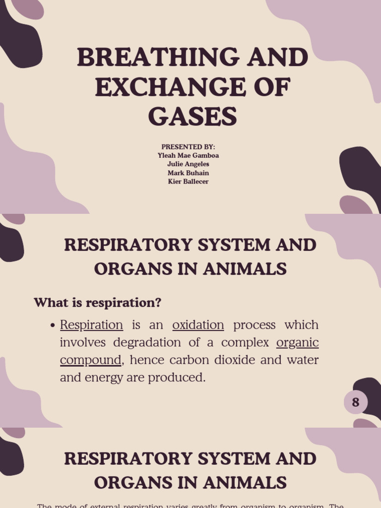 Understanding Animal Respiration Systems | PDF | Respiratory Tract ...