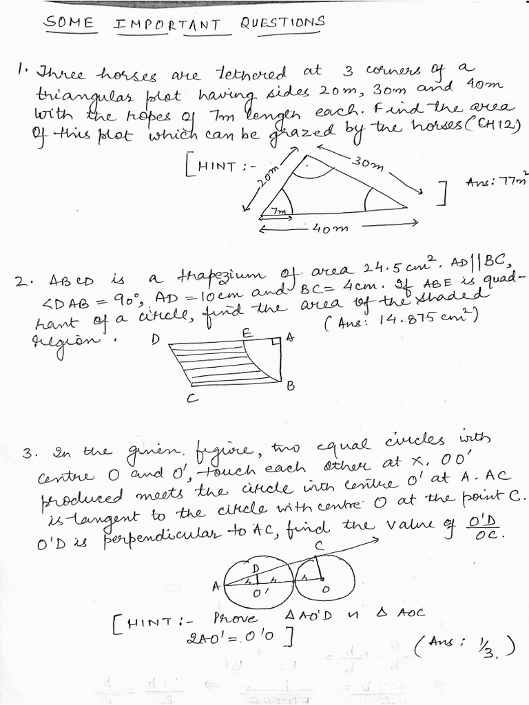 Some Important Questions | PDF