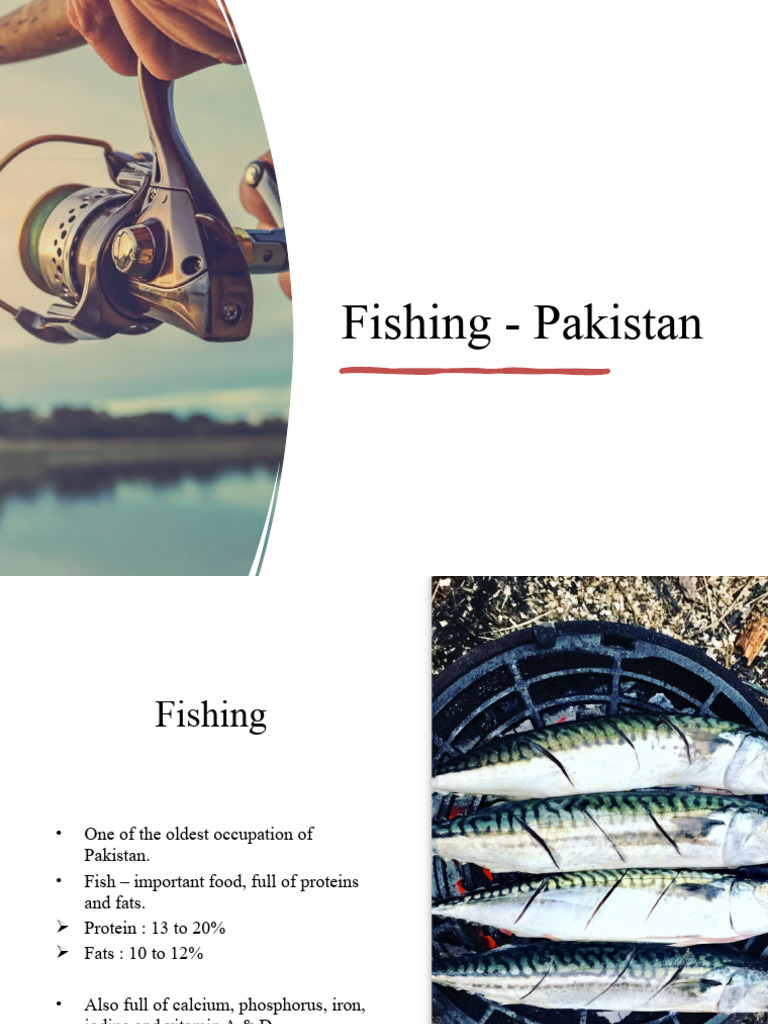 Fishing - Pakistan | PDF | Karachi | Coast