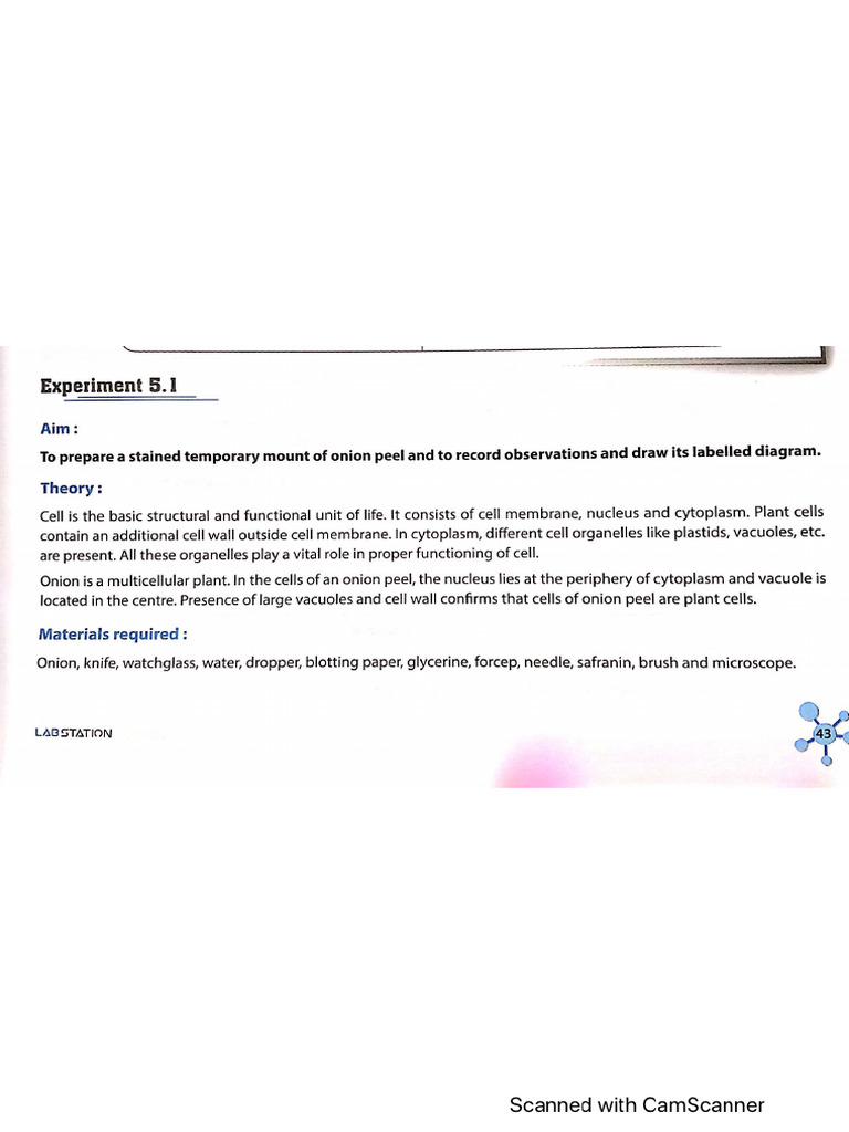 9 - Bio Practical On Cell | PDF