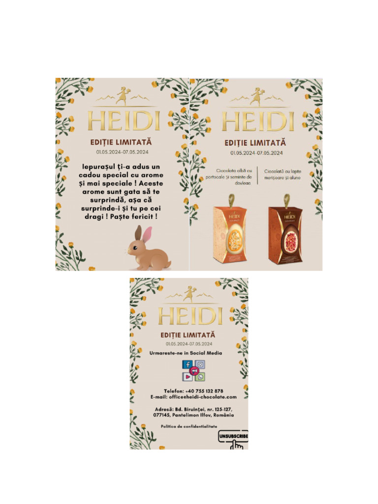 HEIDI | PDF