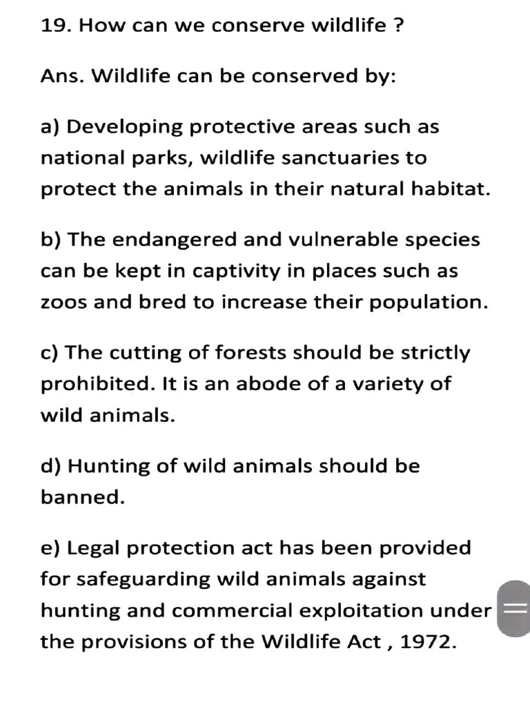 Wildlife Conservation Strategies Explained | PDF | Wildlife | Forests