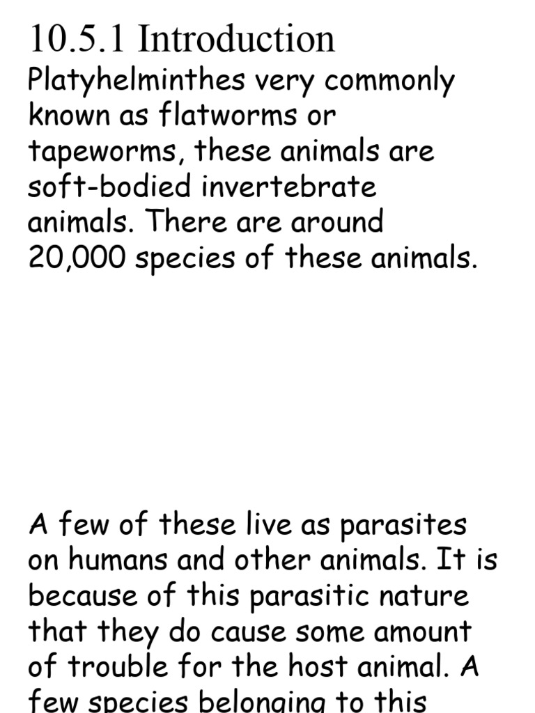 Platyhelminthes or Flatworms | PDF | Gastrointestinal Tract | Zoology