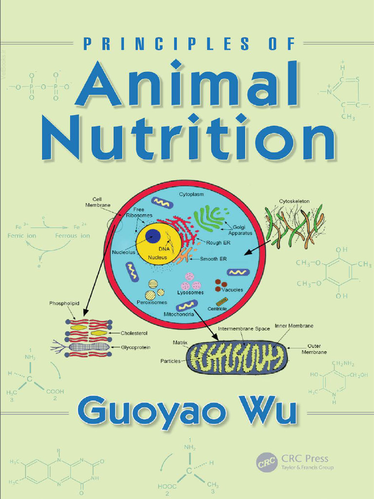 Principles of Animal Nutrition (VetBooks - Ir) | PDF | Amino Acid | Lipid