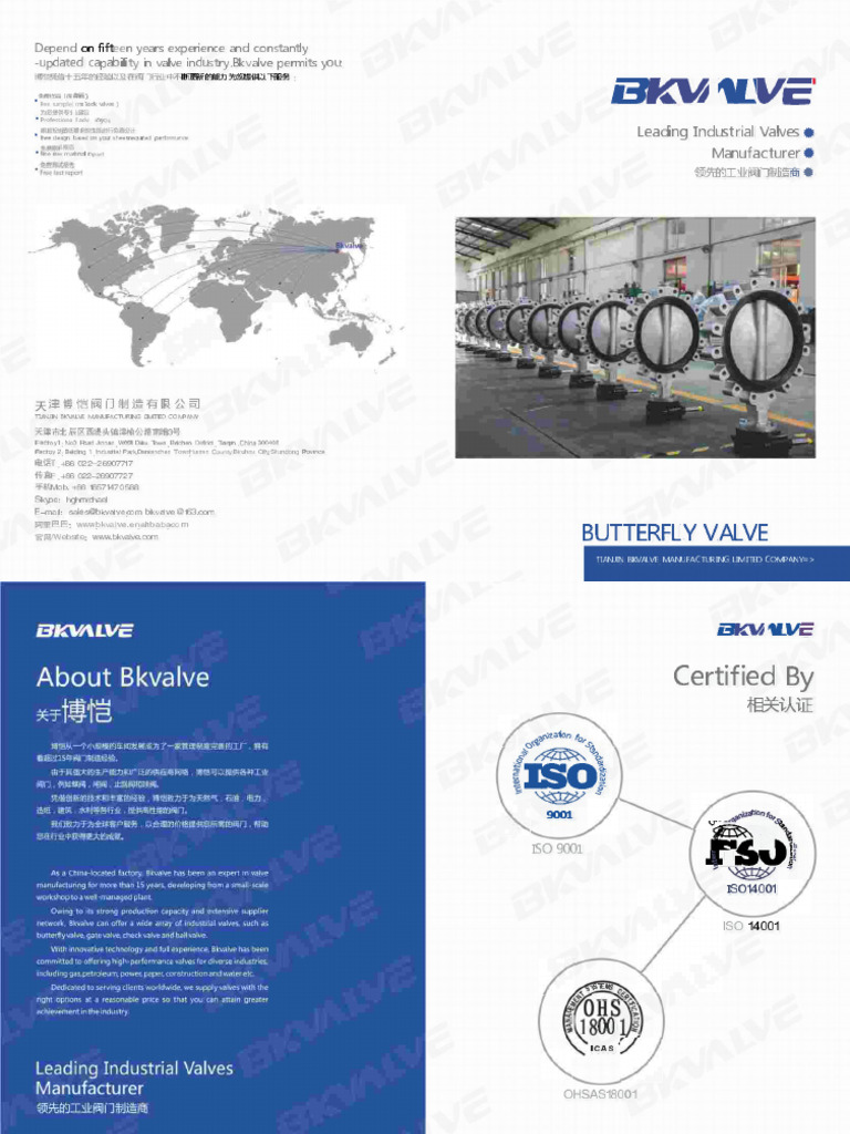 Bkvalve Products Catalog Overview | PDF