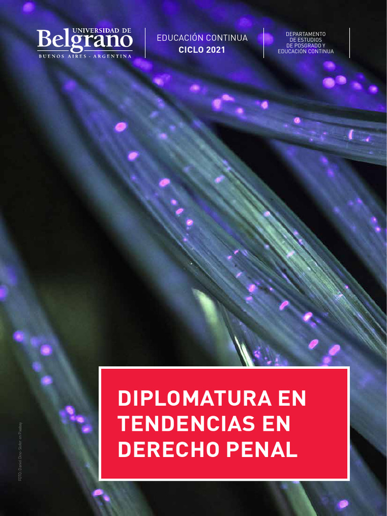 Diplomatura en Derecho Penal 2021 | PDF | Fiscal | Derecho penal