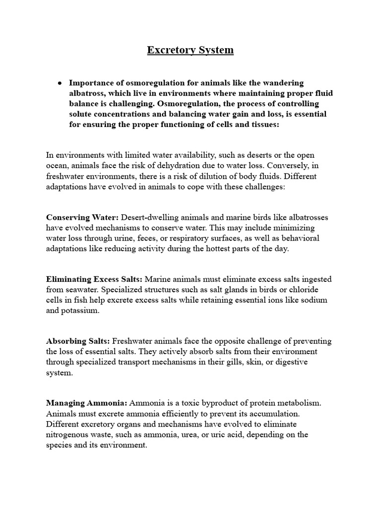 Excretory System | Download Free PDF | Kidney | Urinary System