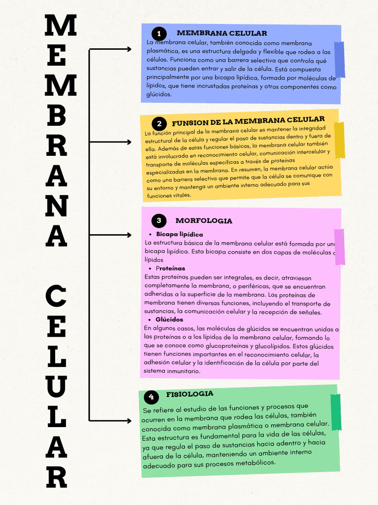 Documento A4 Gráfico de Proceso Cinco Pasos Moderno Infográfico Multicolor | Descargar gratis ...