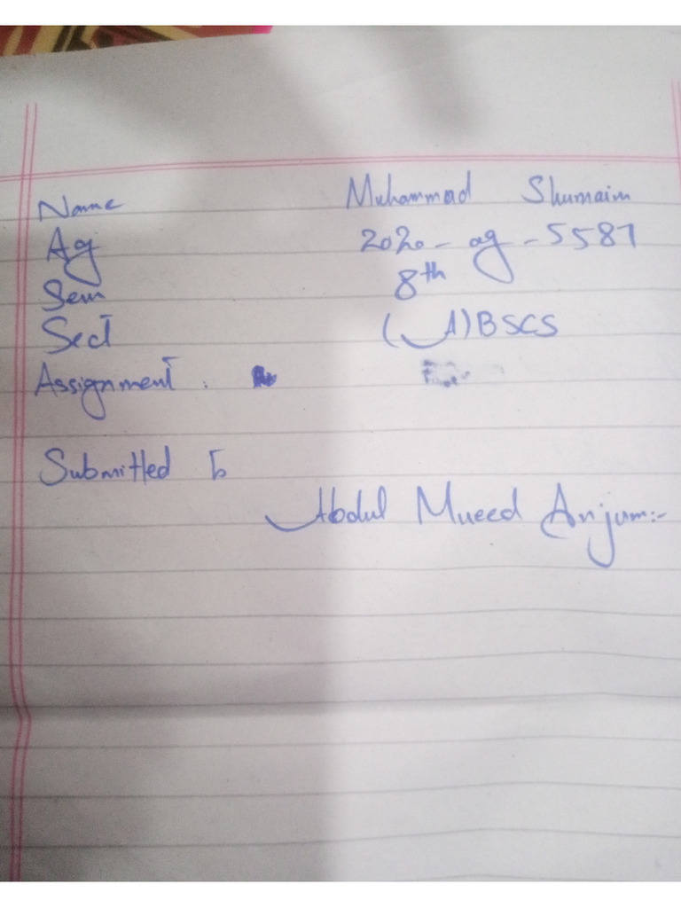 2020-Ag-5587 BBA Assignment | PDF