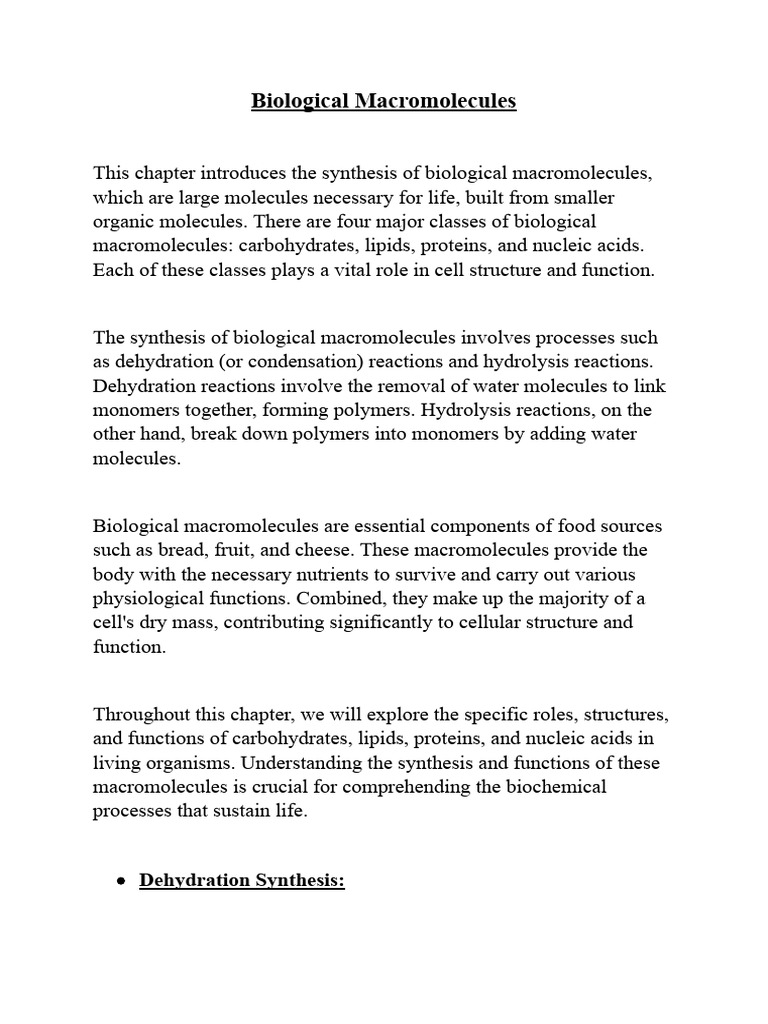 Synthesis and Functions of Macromolecules | PDF | Rna | Protein Structure